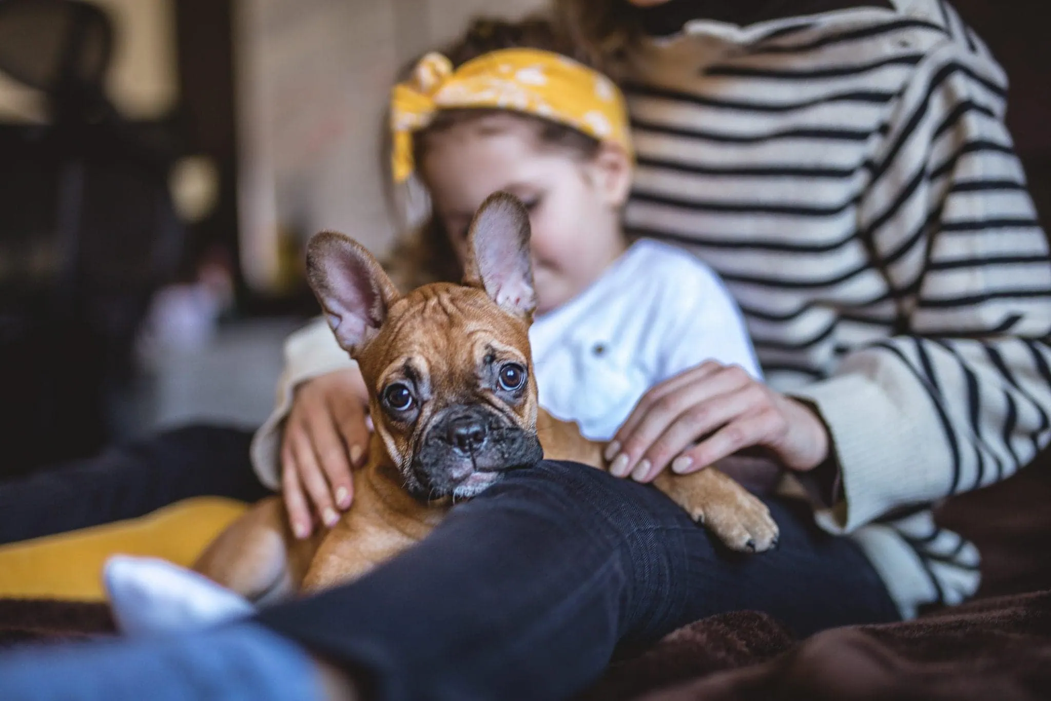 The Pros and Cons of Raising Kids with a Family Pet - Baby Chick