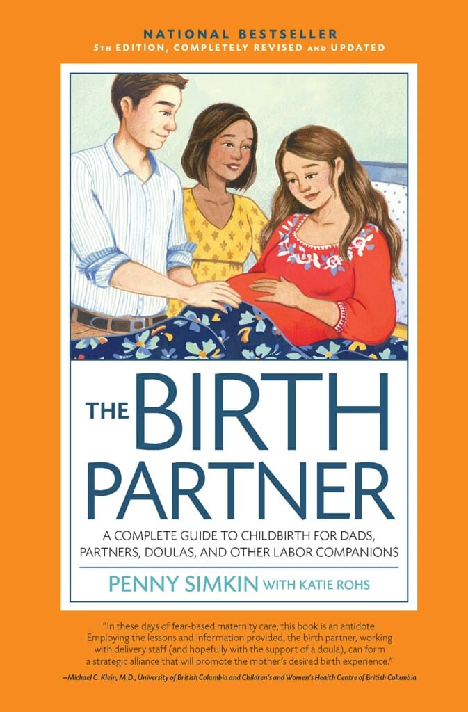 16 Pregnancy, Birth, and Baby Books Every Partner Should Read - Baby Chick