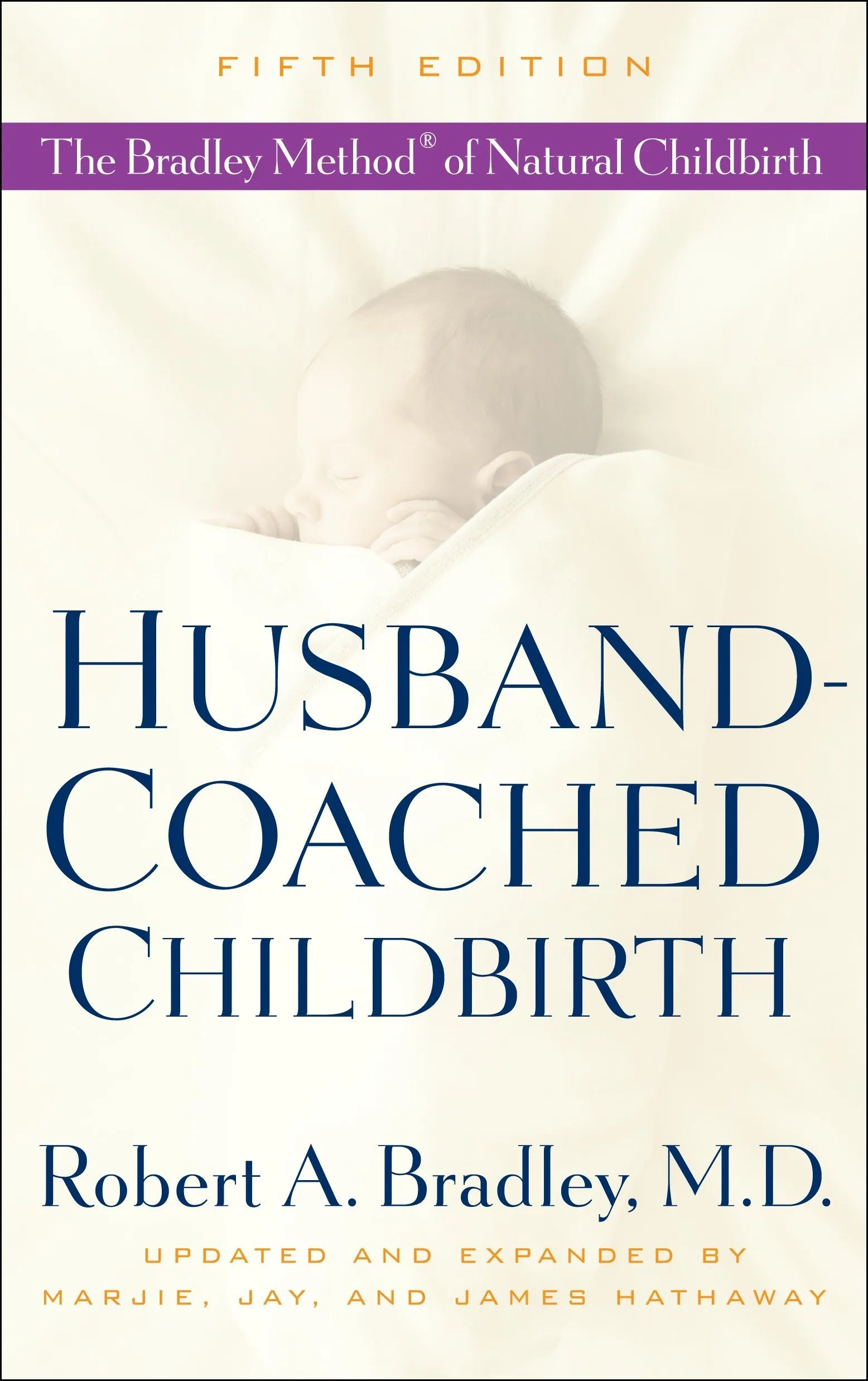 16 Recommended Pregnancy, Birth, and Baby Books for Your Partner