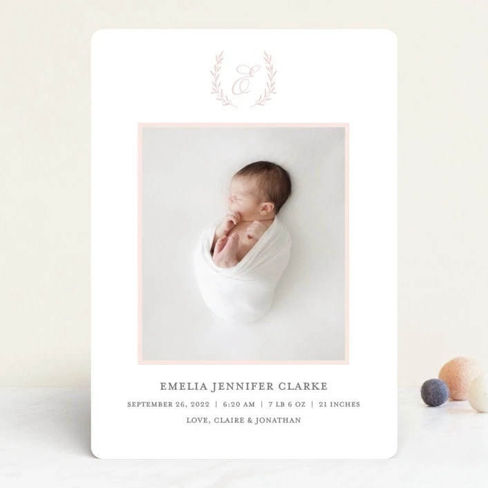 20 Birth Announcements We Love - Baby Chick