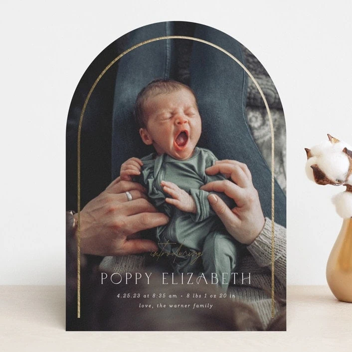 20 Birth Announcements We Love - Baby Chick