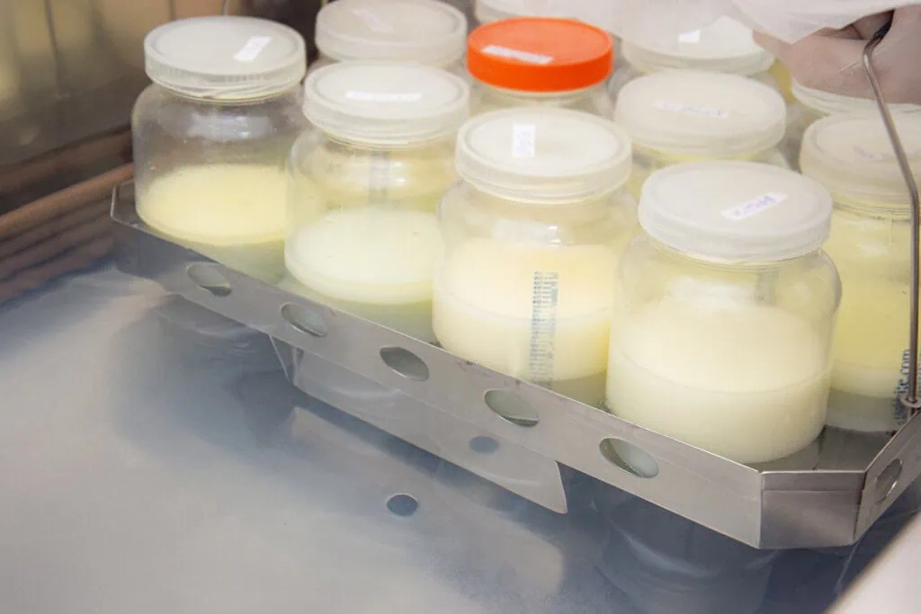 Donor Breastmilk: Where to Get Some and How to Donate - Baby Chick