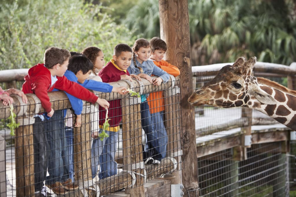 Fresh Spring Playdate Ideas for Indoor and Outdoor Play