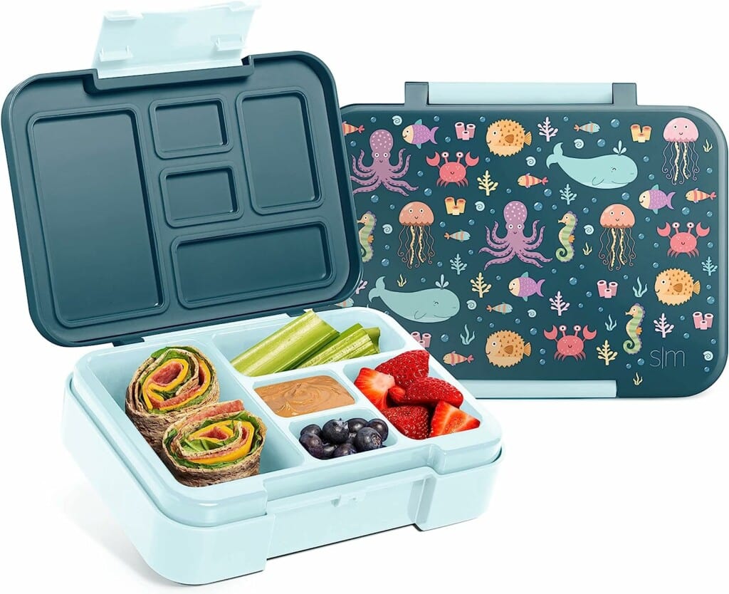 30 School Lunch Ideas That Are Easy and Healthy - Baby Chick