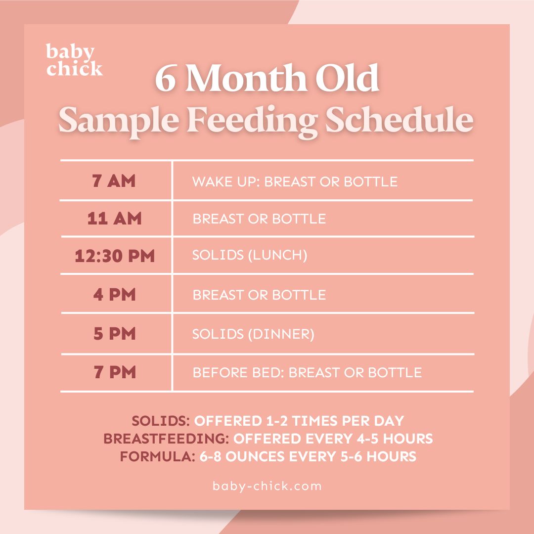 6 Month Old Baby Feeding Sleep And Milestones By Month MumsyPop