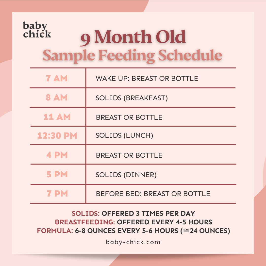 Pregnancy 9 Month Old Baby Feeding Sleep And Milestones By Month Pregnancy 9 Month Old Baby Feeding Sleep And Milestones By Month