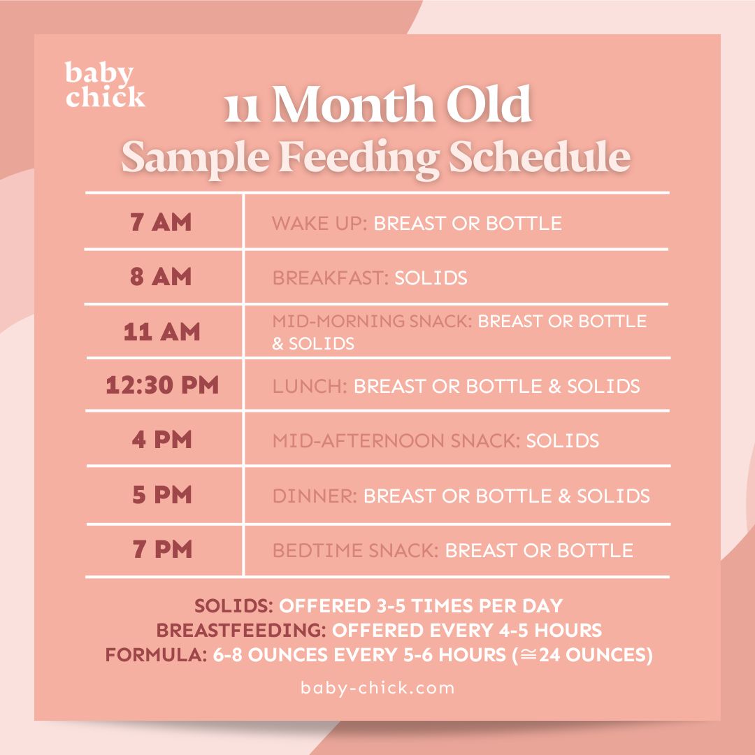11 Month Old Baby Feeding Sleep And Milestones By Month Baby Chick