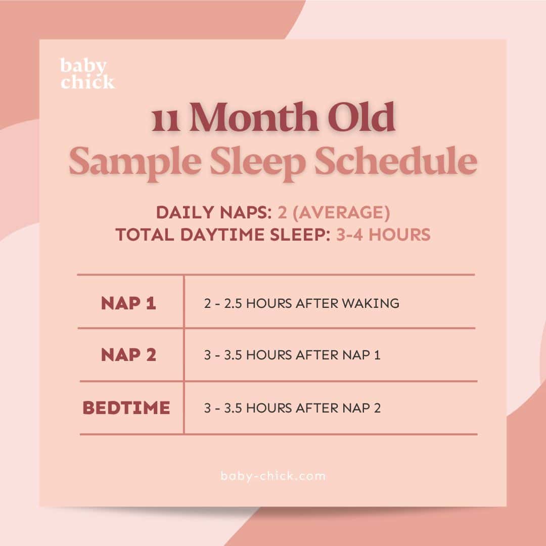 11 Month Old Baby Feeding Sleep And Milestones By Month Baby Chick