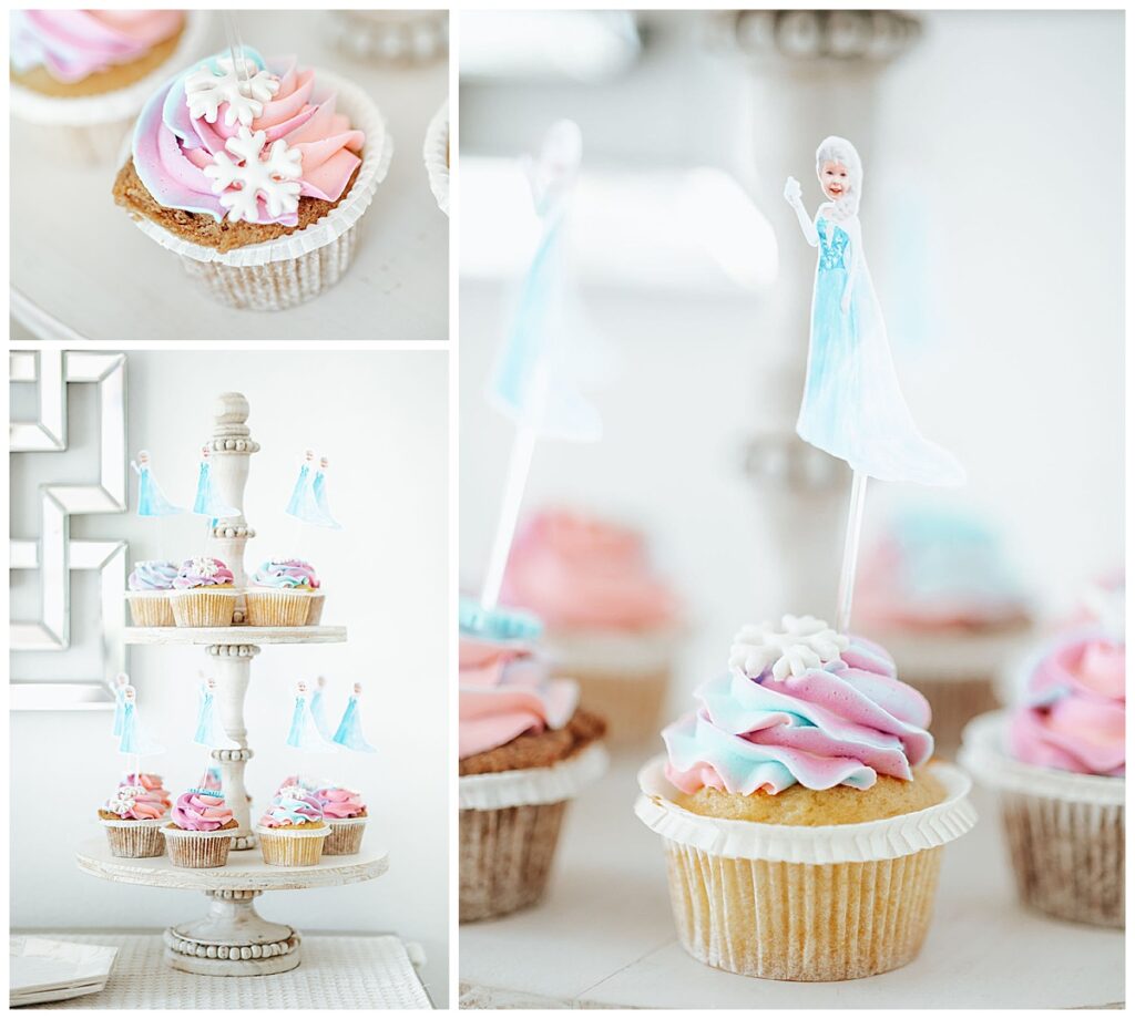 Frozen Birthday Party Ideas and Inspiration - Baby Chick