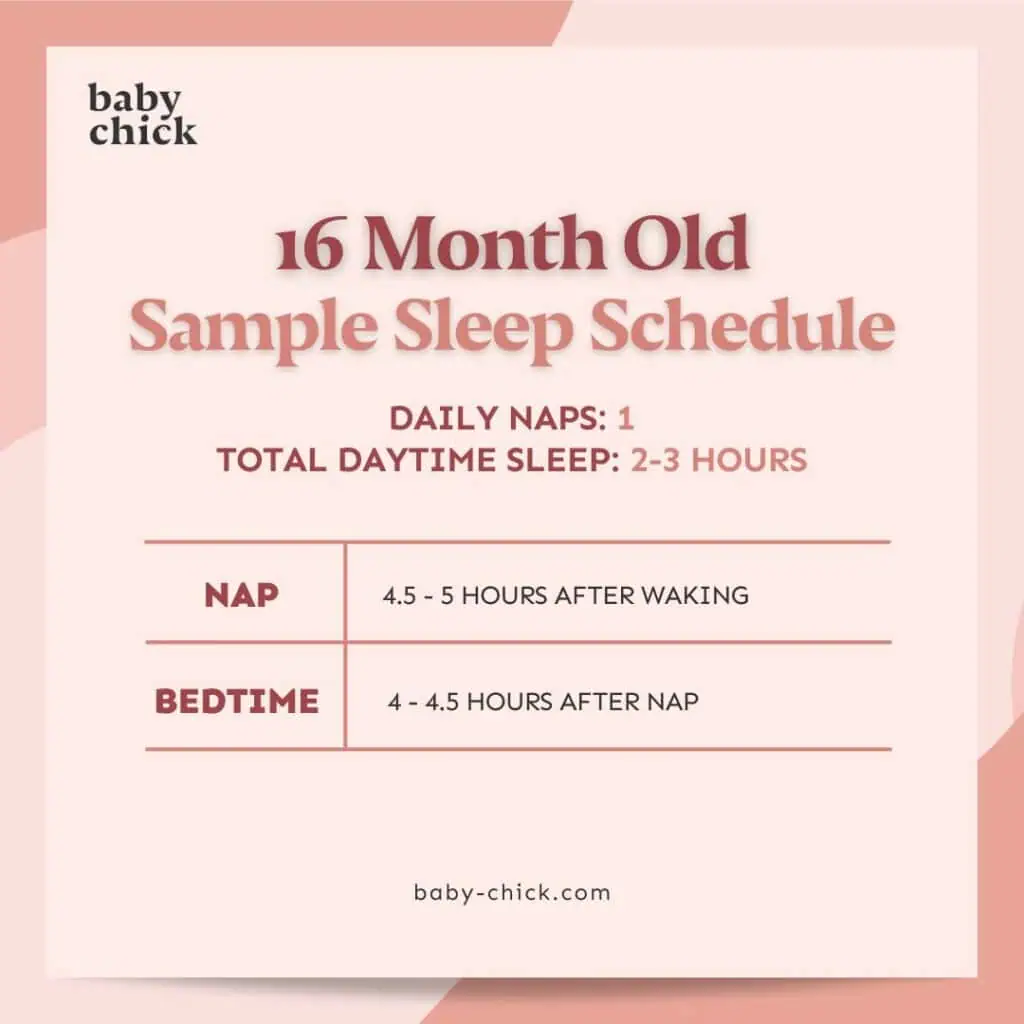 16-Month-Old Baby: Feeding, Sleep, and Milestones by Month - Baby Chick