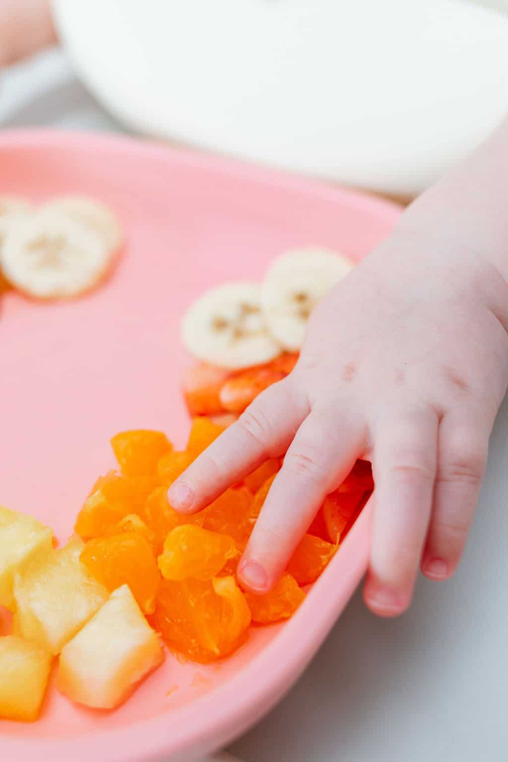 Hacks for Building a More Colorful Plate for Your Baby - Baby Chick