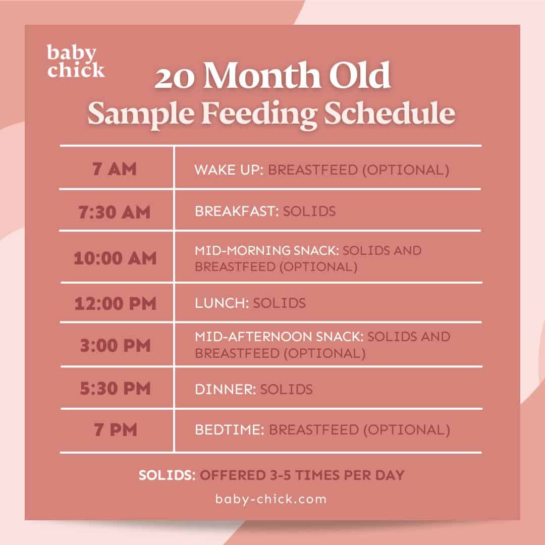 20-Month-Old Baby: Feeding, Sleep, and Milestones by Month - Baby Chick
