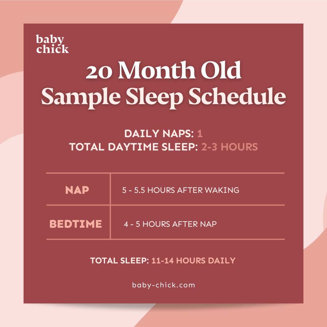 20-Month-Old Baby: Feeding, Sleep, and Milestones by Month - Baby Chick